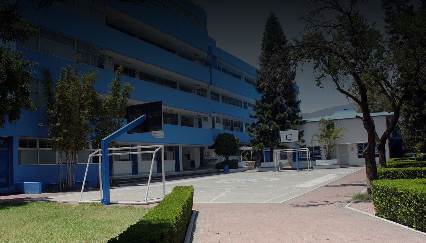 Licenciaturas Ejecutivas - Lucerna